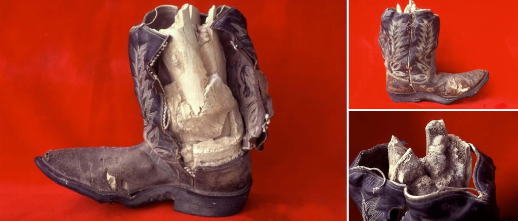 A Técnica Da Petrificação Humana - Revista Enigmas